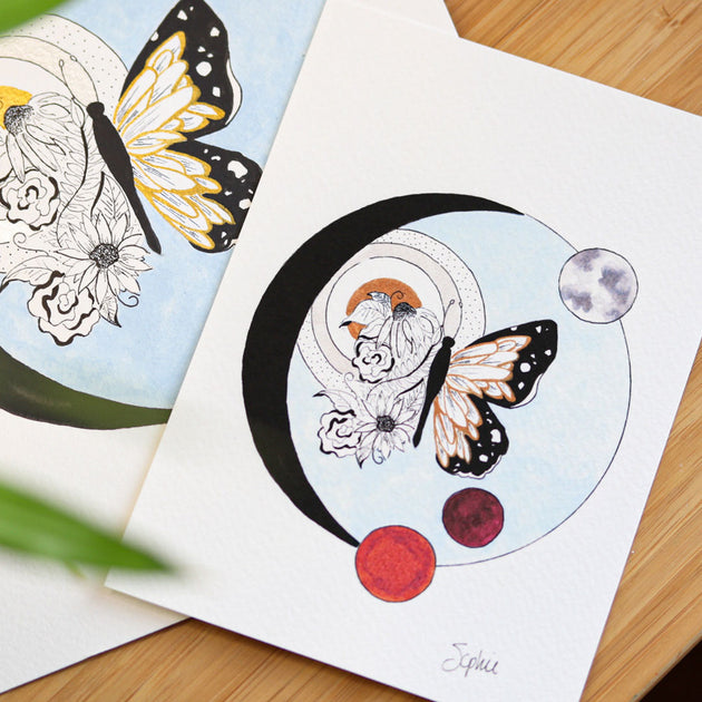 Vision – Excellence NB